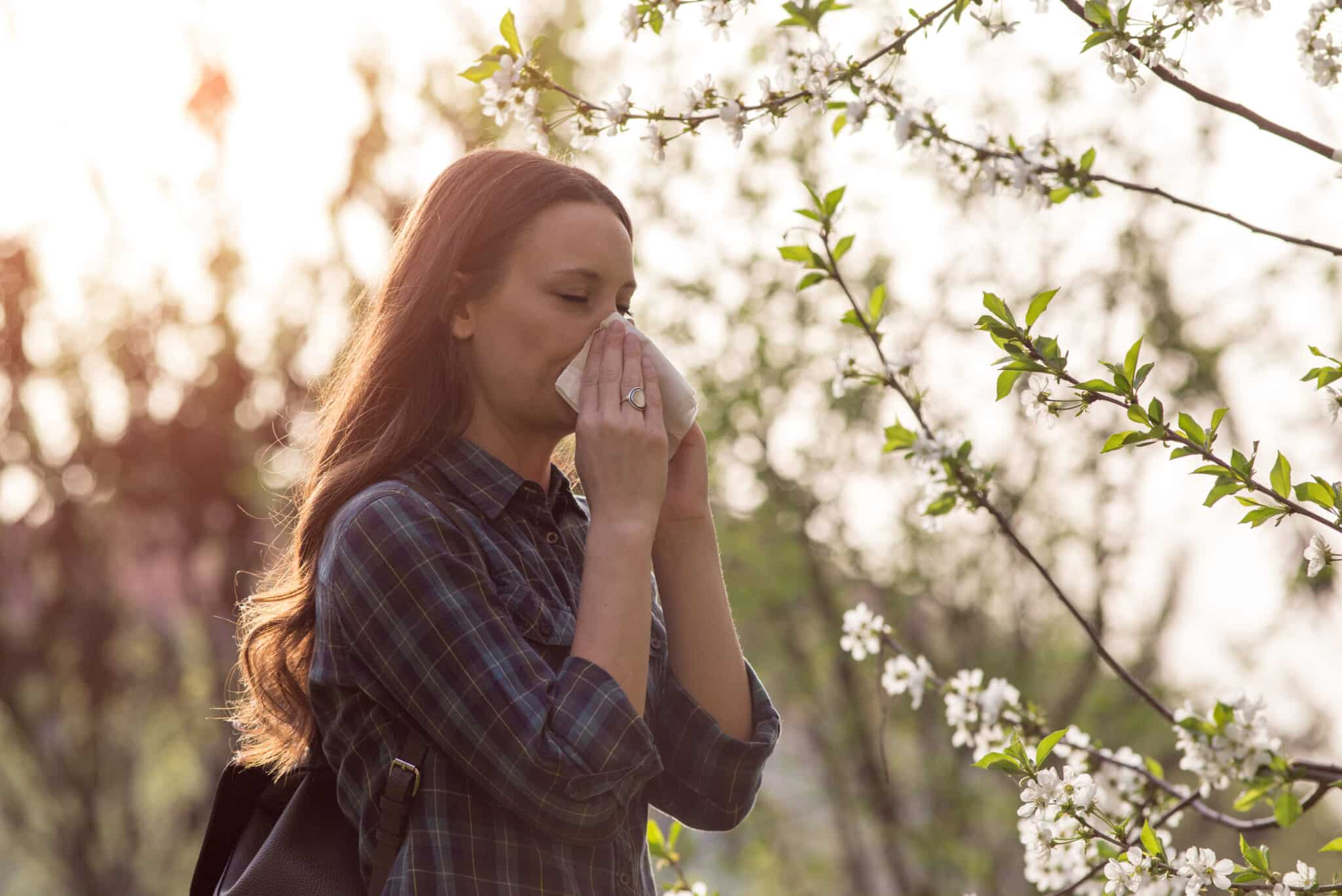 Surviving Allergies In The Nevada Desert - Nevada Sinus Relief